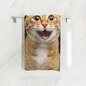ALAZA Microfiber Gym Towel Happy Ginger Cat, Fast Drying Sports Fitness Sweat Facial Washcloth 15 x 30 inch
