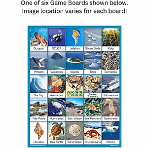 Ocean Bingo - Educational & Fun Game with Sea Creature Facts, 6 Picture Boards & 42 Cards