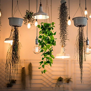 BACAMA Artificial Hanging Plants in White Pot Fake Greenery Vines Decor with Rope for Office Garden Home Wedding Room Decorations 1PCS