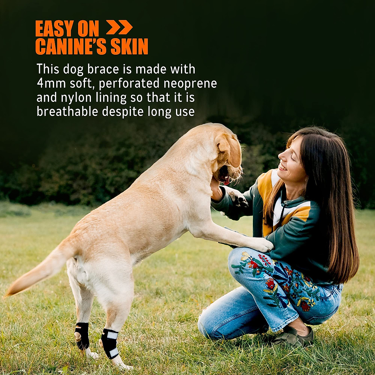 NeoAlly® - Rear Leg Hock Brace with Metal Spring Strips, Dog Leg Brace for Rear Leg, Hock and Ankle Support, Rear Dog Leg Brace for Smaller Dogs, Short Version, Medium, 1 Pair