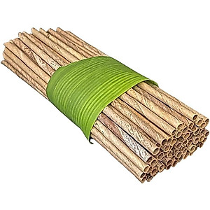 Dtocs 100 Pc. Elegant Bamboo Straw Look Coconut Leaf Disposable Straws | Long Unwrapped Biodegradable Smoothie, Cocktail, Coffee Compostable Straw Alternate to Wooden, Paper, Plastic & Reusable Straws