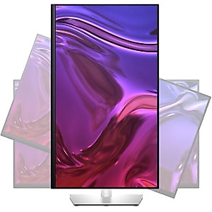 Dell P2423DE 23.8" QHD WLED LCD Monitor - 16:9 - Black, Silver