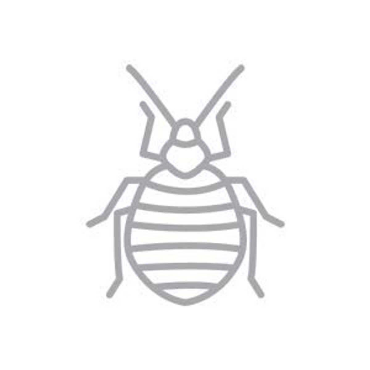 BUGGSLAYER Insecticide Ready-to-use Indoor 32-oz