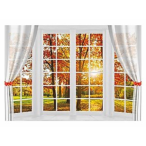 Allenjoy Autumn Tree Window Backdrop Fall Forest Scene Natural Windowsill Photography Background Newborn Party Banner Wall Decor Photo Booth Props