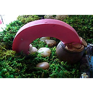 MIABE Miniature Fairy Garden AccessoriesSupplies for Rainbow and Pot of Gold 1pc MI 55806 Irish for Garden, Patio, Deck, Porch, Terrarium, Dollhouse - Yard Art Decoration.