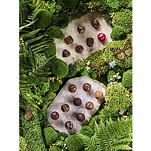 Godiva Chocolatier Assorted Chocolate Truffles Gold Gift Box, Happy Birthday Ribbon, 19-Pieces, 7.2 Ounce