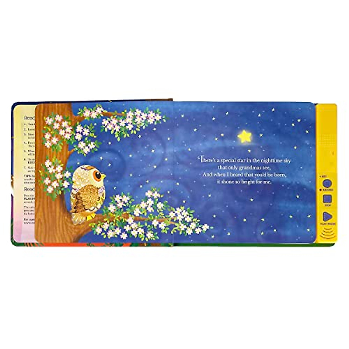 Grandma Wishes: Recordable Keepsake Board Book - Record Your Voice Reading the Story!