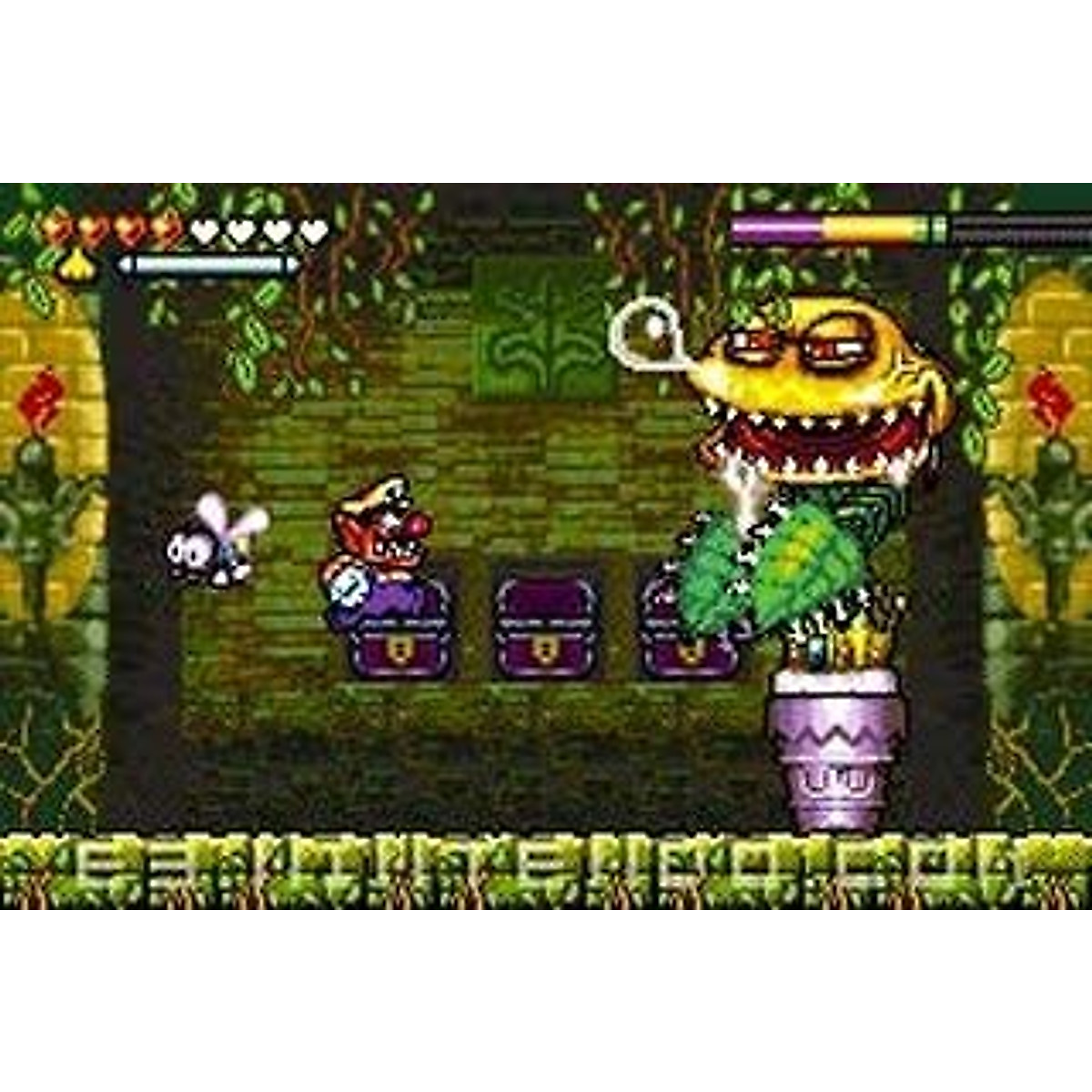 Wario Land 4 (Renewed)