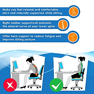 YINSHENG Mesh Back Lumbar Support, Mesh Back Support Seat Cushion Air Flow Chair Back Support with Elastic Strap Back Rest for Home Office Chair Car Seat Back Pain Relief