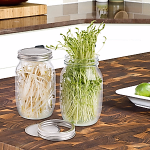 Tebery Complete Mason Jar Sprouting Kit - 2 Wide Mouth Quart Sprouting Jars with 316 Stainless Steel Screen Sprouting Lids, Melamine Tray and Stand | Seed Sprouter Set for Broccoli, Alfalfa, Mung Bean