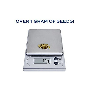 Bell Pepper Seeds for Planting - California Wonder - Heirloom Non-GMO Pepper Seeds for Planting - 100 Seeds - Sweet Pepper Matures from Green to Red by RDR Seeds