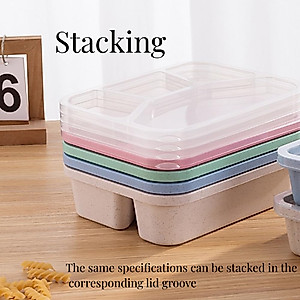 cozinester Meal Prep Containers - Versatile 4 Compartment Snack Containers for Efficient Lunch Storage - Durable and Reusable Lunch Containers for Organized Meal Planning (Pack of 4)