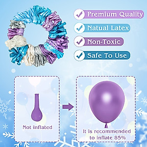 Amandir 162PCS Snow Birthday Party Supplies, Snow Balloon Garland Arch Kit Fringe Curtain Blue Purple Snowflake Foil Balloons Princess Winter Wonderland Girl Baby Froze Party Decorations