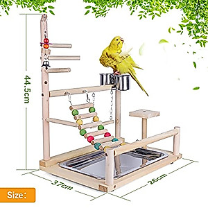 Fantasyday Bird Play Stand, Natural Wooden Bird Playground Birds Gym Bird Toy Accessories with Stainless Steel Feeding Stair Swing for Parrots, Finches # 2