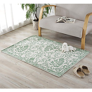 Original Indoor Doormat, Monstera Leaves Door Mats Indoor Rug, 24X36 inch Machine Washable Low-Profile Inside Door Mat for Entryway