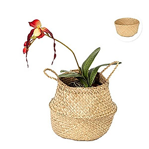 Compactor Natural ?Belly? Basket (Small)