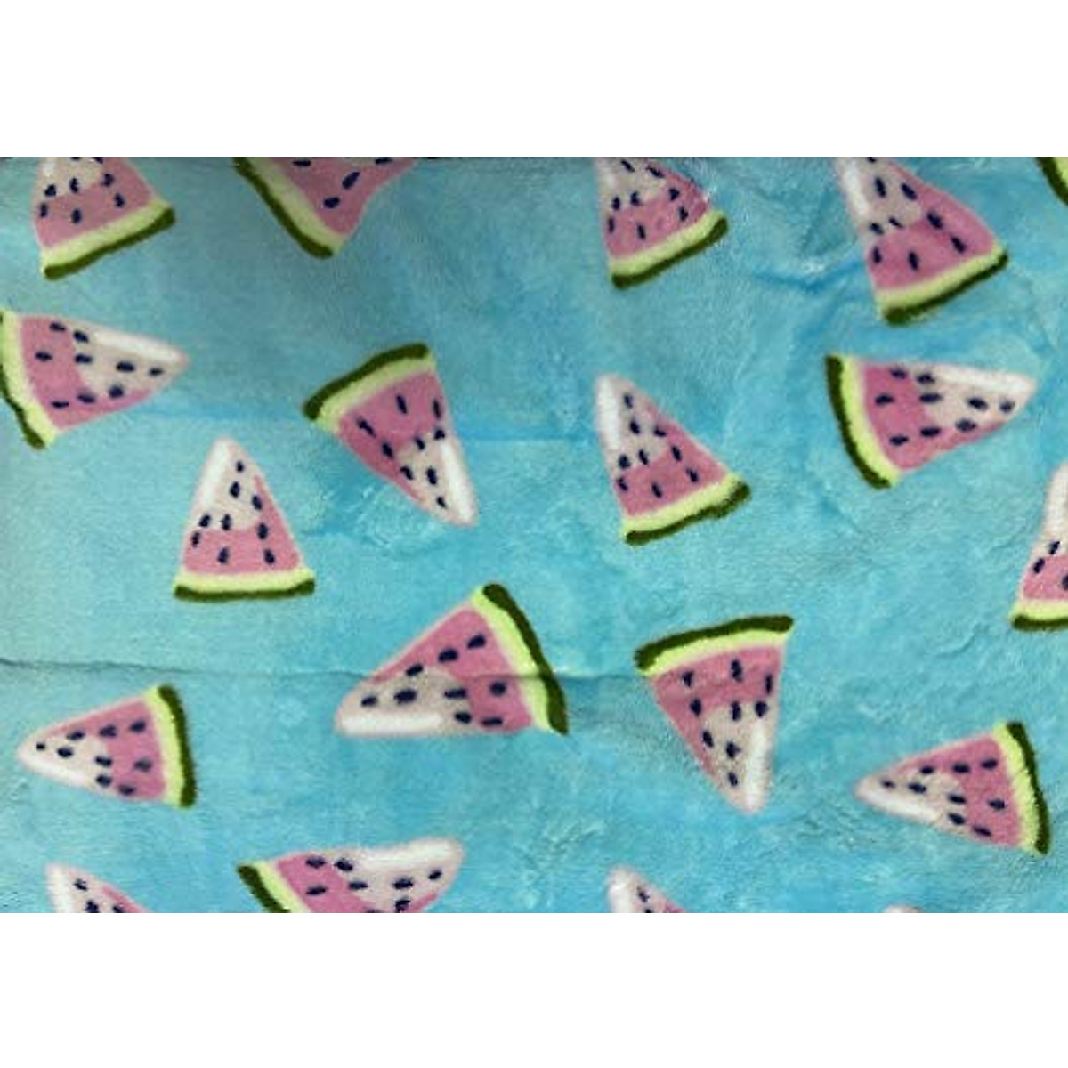 Summertime Whimsy Plush Watermelon Fleece Throw Blanket (50" x 60") - Watermelon Slices, for Men, Women and Kids
