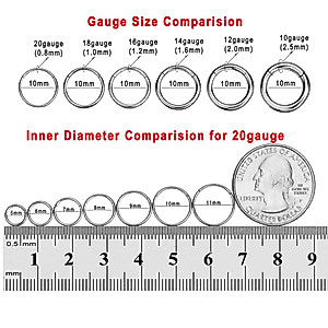 FANSING Nose Hoop Surgical Steel Nose Rings for Women Men Septum Jewelry Hinged Cartilage Earring Hoop for Nostril Helix Tragus Daith Conch Lip Rook Ear Lobe Piercings Silver 18 Gauge 8mm