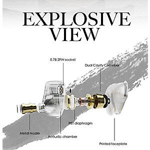 Linsoul TANGZU Wan’er S.G HiFi 10mm Dynamic Driver PET Diaphragm in-Ear Earphone with Ergonomic Shape, Detachable 2Pin OFC Braided Cable for Audiophile Musician DJ Stage (Black, Wan’er S.G)