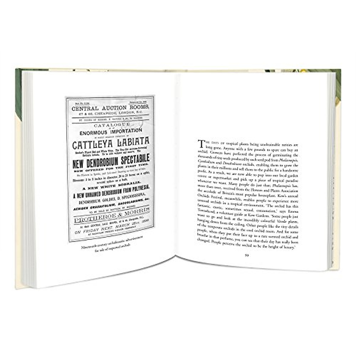 Plants: From Roots to Riches