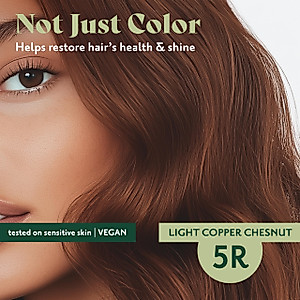 Herbatint Permanent Hair Dye For Women - 5R Light Copper Chestnut - For Up To 100% Gray Coverage of Resistant Gray Hair - Ammonia-Free, Alcohol-Free & Vegan - Salon Influenced Hair Color 5.75 fl oz