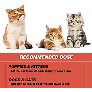 Iron Supplements for Cats - Liquid Iron for Anemia with Cat Vitamins, Support Iron Levels, Promote Red Cell, Boost Energy and Vitality in Cat Health, 3.4oz(100ml)