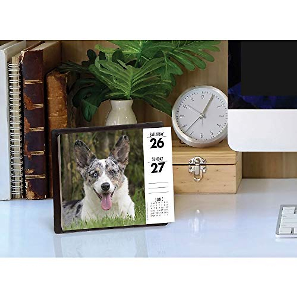 Just Corgis 2021 Box Calendar (Dog Breed Calendar)