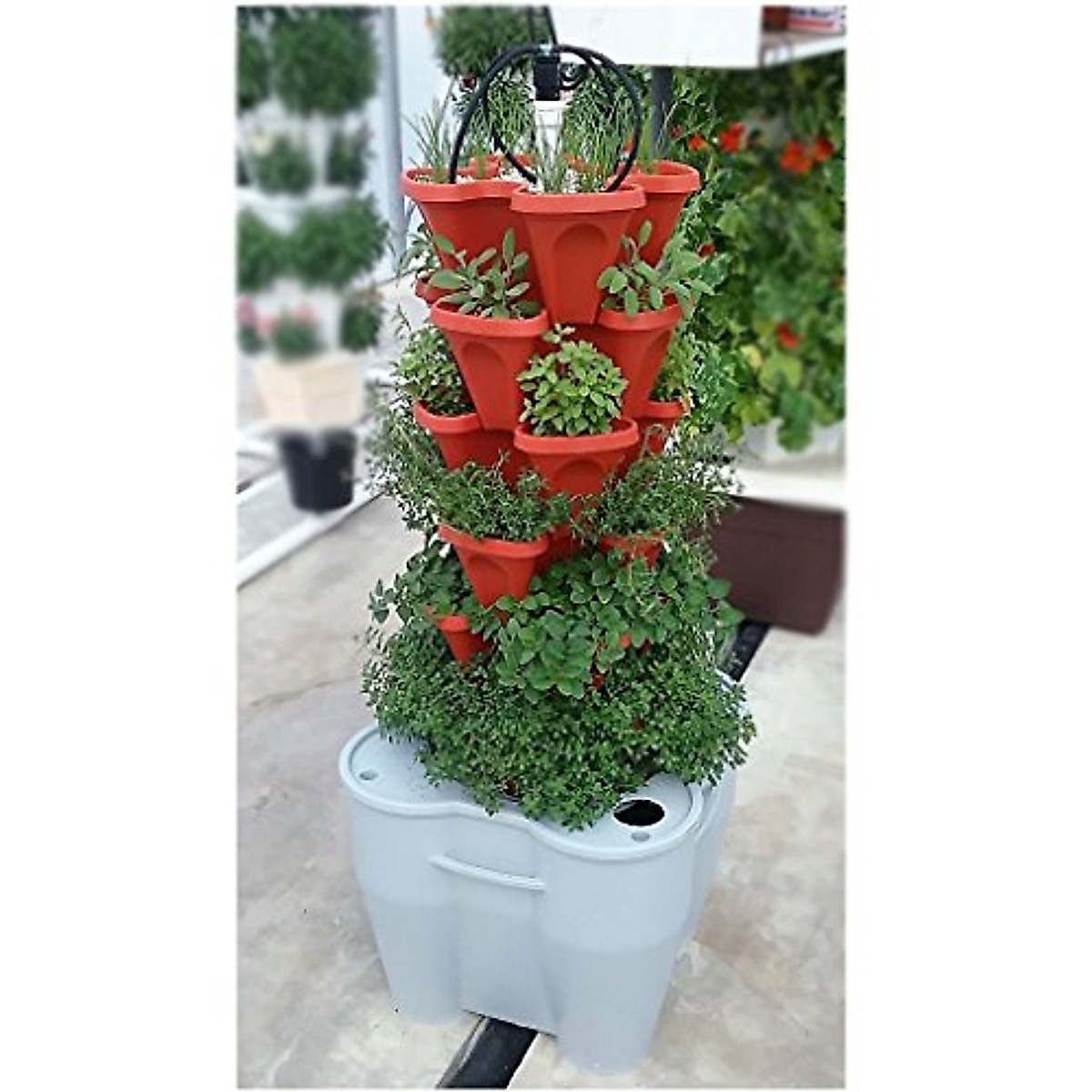 Large 64 Quart Stackable Planter 5-Pack - Grow More in Less Space - Plant Pots and Stack - DIY Vertical Gardening System - for Growing Veggies, Herbs, Garden Greens, Starwberries (Terracotta)