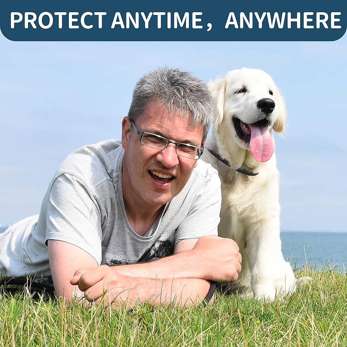 Flea Collar for Dogs, 4 Pack Dog Flea and Tick Collar 32 Months Flea and Tick Treatment Collar for Dog, Waterproof Adjustable Dog Flea and Tick Prevention for Small Medium Large Dog Puppy, Black Grey