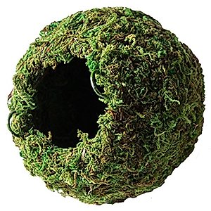 Galápagos (05346) Mossy Cave Hide, 4", Green