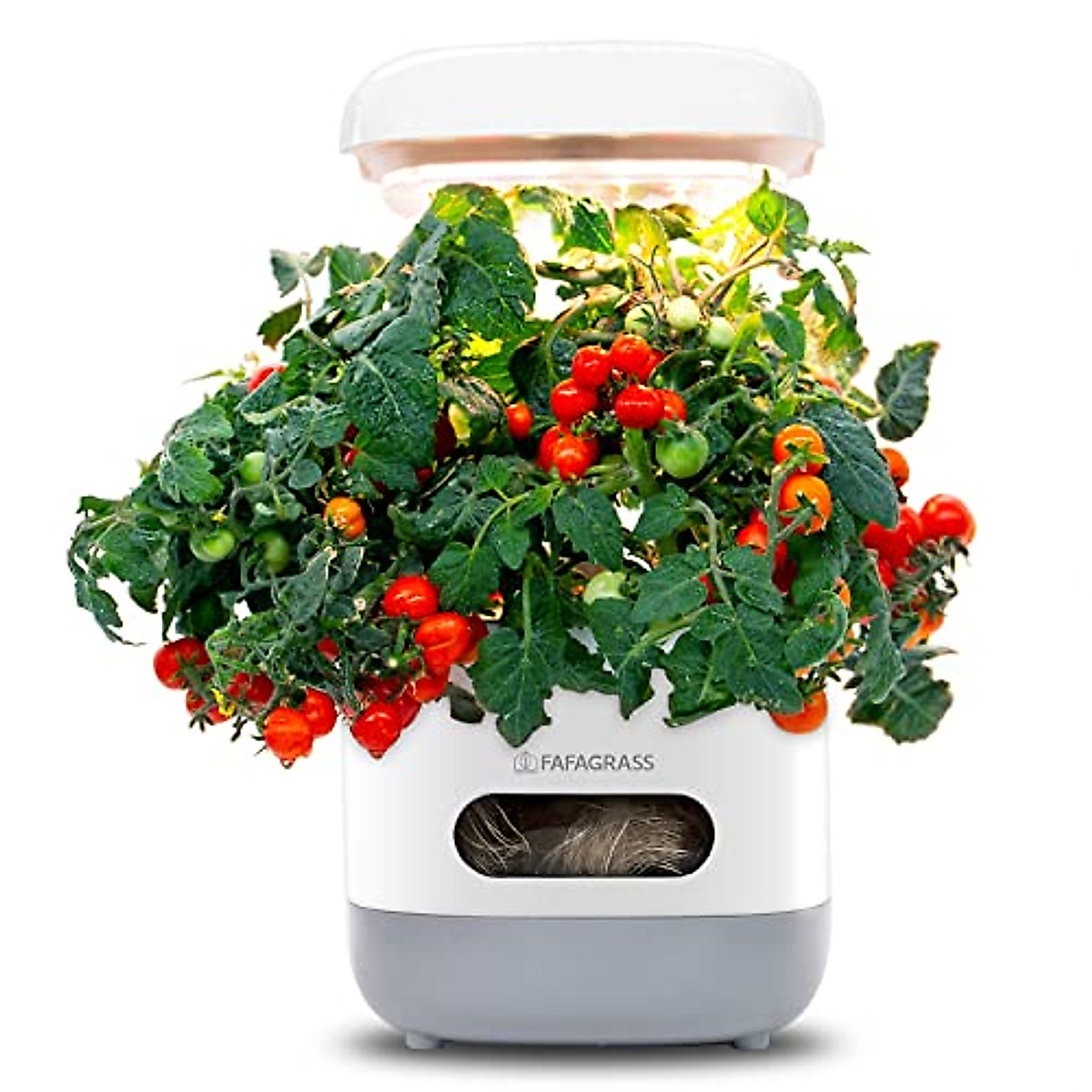 FAFAGRASS Indoor Garden Hydroponics Growing System, Plant Germination Kit Mini Herb Garden Kit Vegetable Growth Lamp Countertop, Height Adjustable Water Pump, Hydroponics Planter Grower