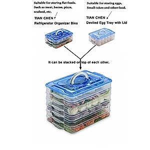 TIAN CHEN Deviled Egg Tray with Lid, 2-Layer, Food Storage Container with Handle, Egg Holder for Refrigerator, large, 40 eggs (Green)