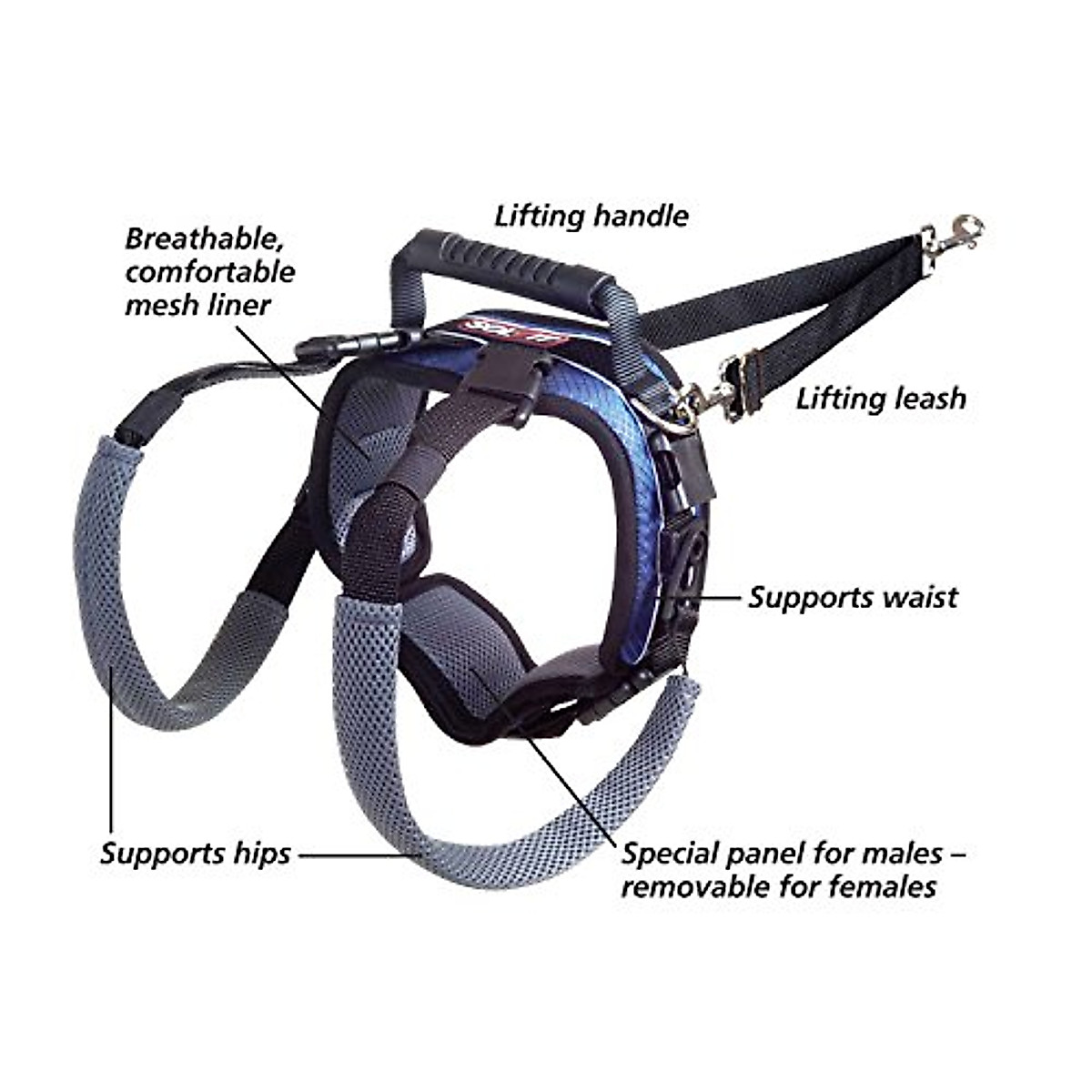 PetSafe CareLift Rear Support Harness - Lifting Aid with Handle and Shoulder Strap - Great for Pet Mobility and Older Dogs - Comfortable, Breathable Material - Easy to Adjust - Medium, Black