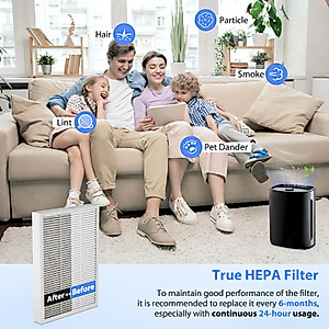 Borgodf 4 Pack F1 Air Filter Replacement Compatible with 3M Filtrete Air Puri-Fier Models FAP-T02WA-G1 FAP-T02-F1 FAP-C01-F1 FAP-C01BA-G1 FAP-ST02W and FAP-ST02N，Ture HEPA F1 Filter for Air Puri-Fier