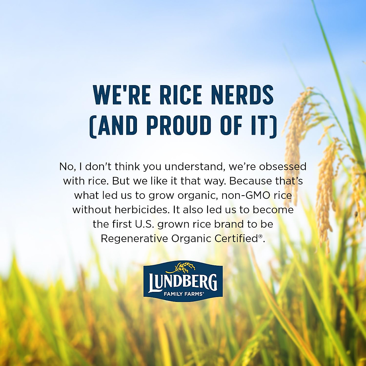 Lundberg Organic Jasmine Rice, Long Grain Brown Rice - Non-Sticky, Fluffy Aromatic Rice, Organically Grown in California, Pantry Staples, 32 Oz