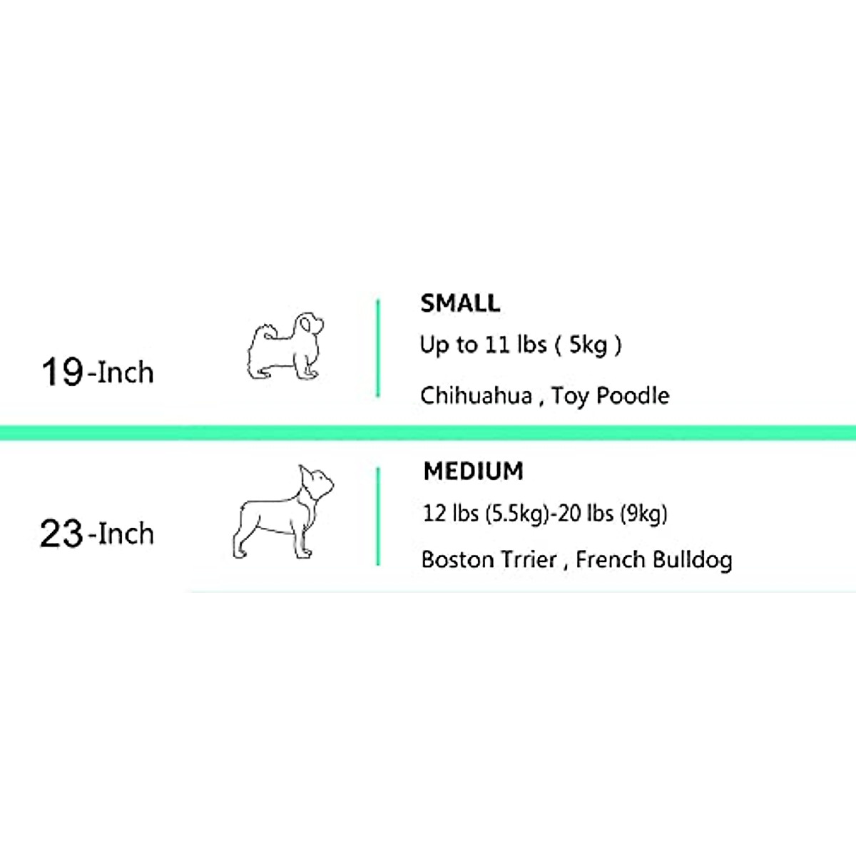 Amazon Basics 2-Door Top Load Hard Sided Dog and Cat Kennel Travel Carrier, 23-Inch, Gray & Blue