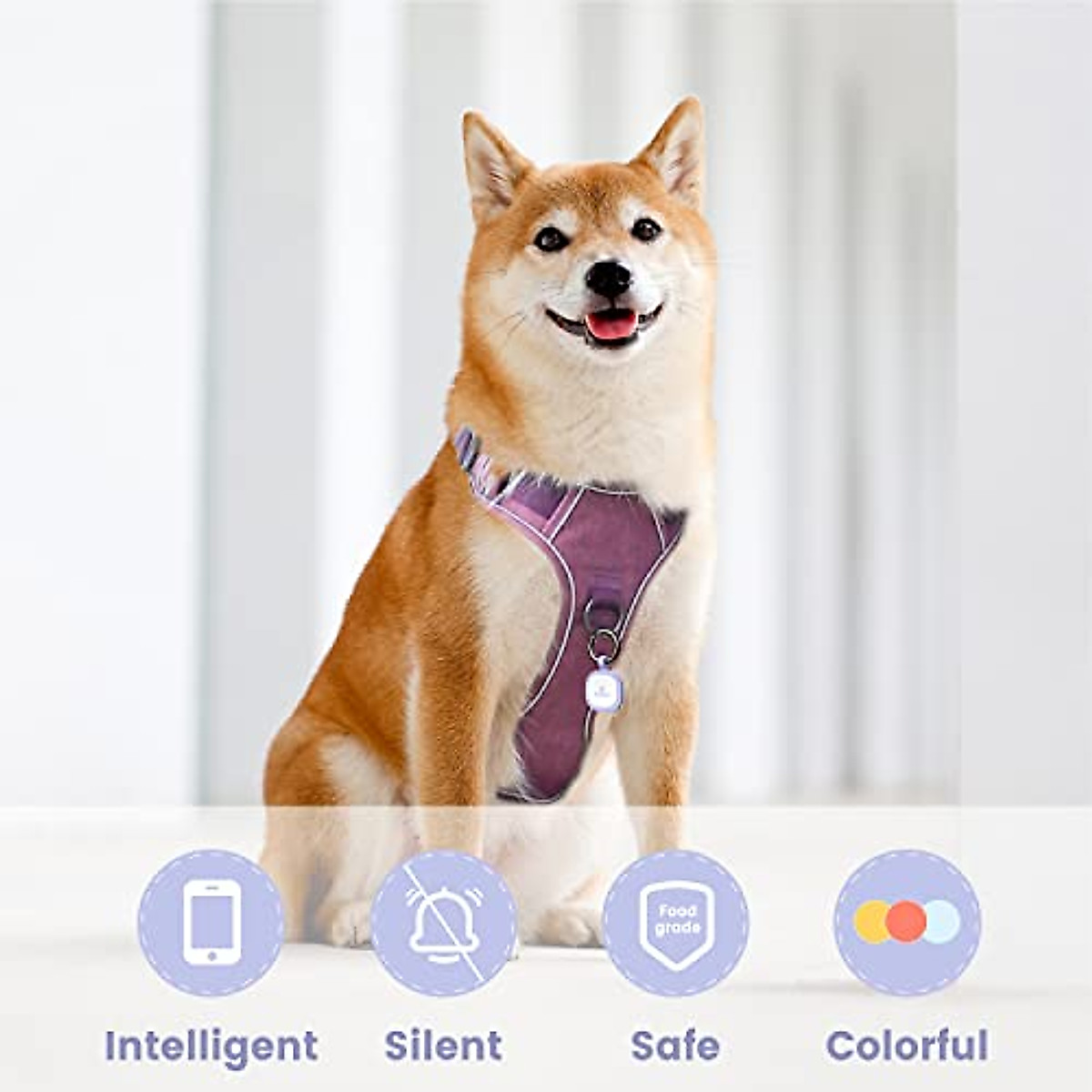 Pawaii QR Code Pet ID Tag, Silent Silicone Dog ID Tag, Modifiable Pet Online Profile, Free Online Pet Page Emergency Contact, Scan QR Receive Instant Pet Location Alert Email, 1Pack (Purple)