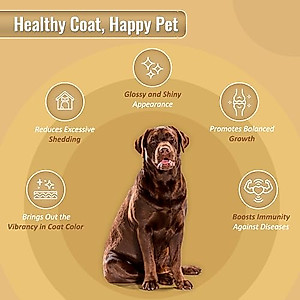 Organic Ocean KELP 5 LB