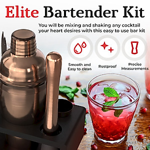 Highball & Chaser Cocktail Shaker Set: Bartender Kit for Home Bar Mixology Cocktail Bar Set Plus E-Book with 30 Recipes