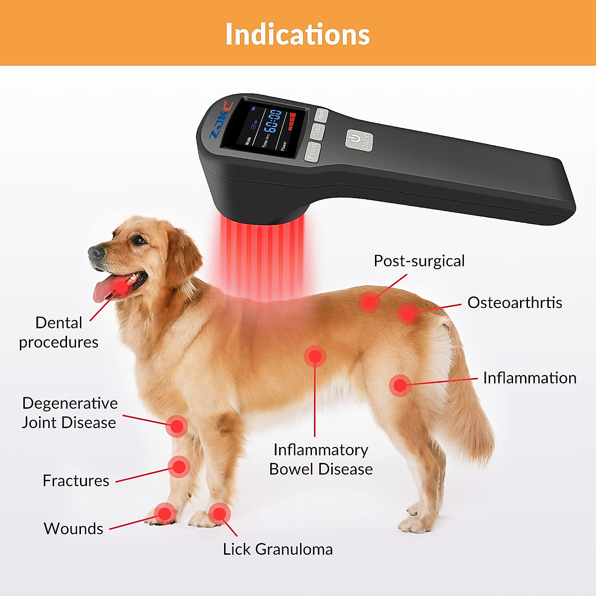 ZJKC Cold Laser Therapy Device for Muscle & Joint, 4x808nm+16x650nm, Pain Relief, Accelerate Healing, Home Light Therapy for Dogs, Cats, Horses and Animals(Black)