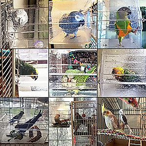 Colorday Large Bird Bath, Birds Bathtub for Amazon Parrots, African Grey, Conure, Cockatiel, Parakeet (13X11X8 inch)