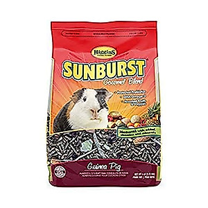 Higgins Sunburst Guinea Pig 6 Lbs