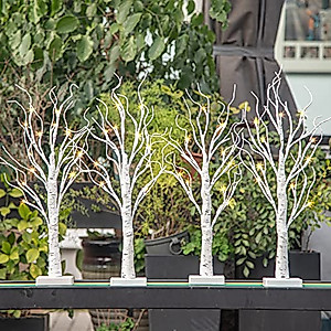 EAMBRITE Home Decorations Light Up Tree Indoor,Set of 4, Battery Operated Tabletop Birch/Bonsai Tree Led Lights Money Tree Wedding Party (2FT / Warm White)