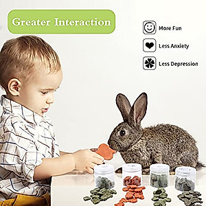 Bunny Chew Toys, LE-SEKAI Natural Rabbit Chew Toys Nutritious Small Animal Molar Treat Biscuits - Carrot Biscuits, Timothy Biscuits, Alfalfa Biscuits, and Rye Biscuits, 120g Each for Rabbit/Hamster