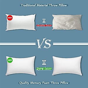 AM AEROMAX 12 × 20 Pillow Insert (Pack of 2) Memory Foam Lumbar Support Throw Pillow Sham Rectangular for Decorative Cushion Bed Couch Sofa without Deform After Longtime Use