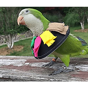 Adjustable Bird Collar Anti Bite Elizabethan Recovery Cone, Bird Neck Protector for Feather Plucking, Skin-Friendly Bird Neckwear Full Body Shield for Parakeet Conure Cockatiel (M)