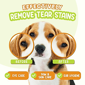 GoEcoVita Pet Eye Wipes for Dogs & Cats | Gently Removes Tear Stains, Eye Debris, Discharge, Mucus Secretions | Chamomile Oil Pet Cleaning & Deodorizing Wipes for Eyes & Stains (100 Count)