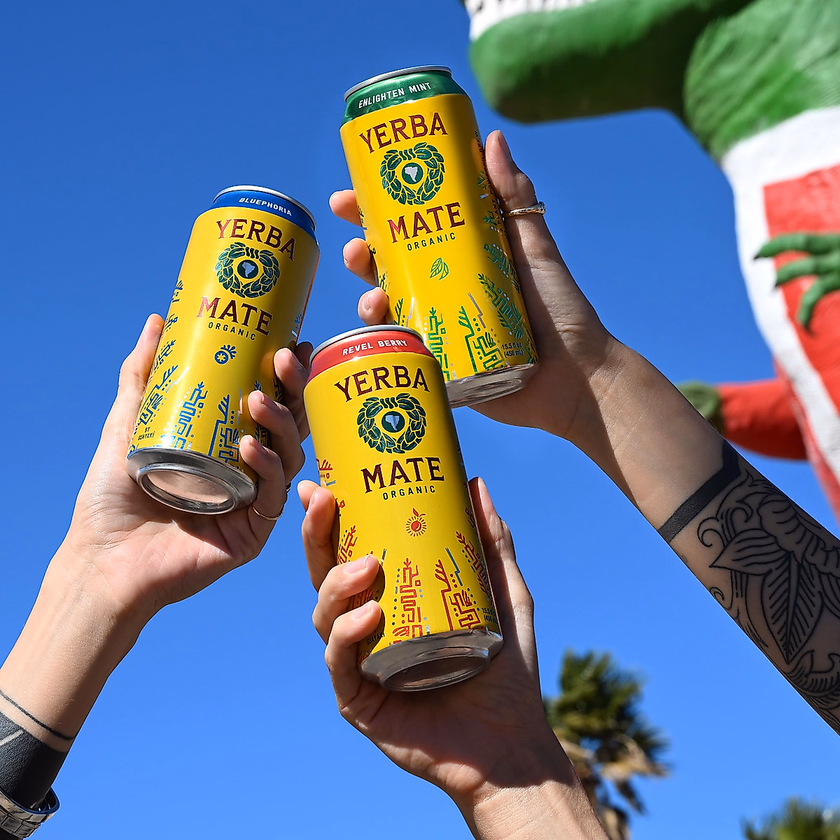 Guayakí Yerba Mate, Organic Energy Drink Alternative, Variety Pack, 150mg Natural Plant Based Caffeine, Better for You Energy & Focus, No Jitters or Crash, 15.5 Oz (Pack of 12) (Packaging May Vary)