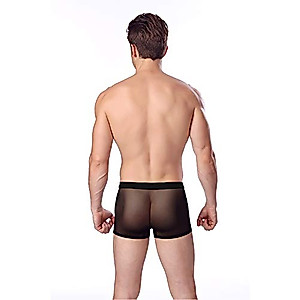 Evankin Men's Sexy Mesh Boxer Briefs Transparent Lingerie Black Mesh Transparent Bulge Pouch Valentines Underwear(45Black,XXL)