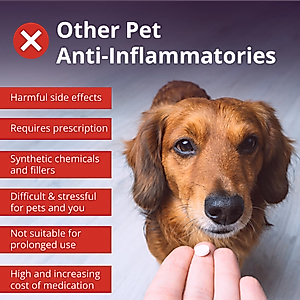 Glacier Peak Holistics Inflapotion - Natural Anti-Inflammatory Relief for Dogs & Cats, Organic Remedy Arthritis, Inflammation, Hip & Joint Pain - 3oz